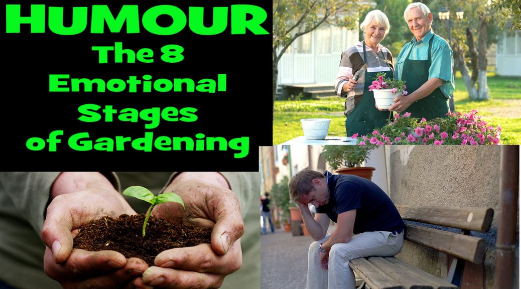 The 8 Emotional Stages of Gardening | The How Do Gardener